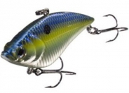 Lures / Crankbaits / Bass Pro Shops XPS Rattle Shad