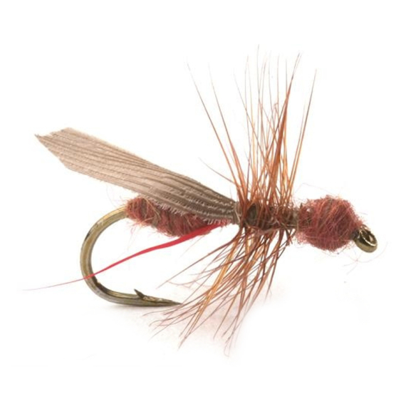 Guideline Flying Ant / Myra Cinnamon # 12 | Sportfishtackle.com