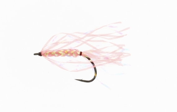 Flammen UV Bombardo Fly