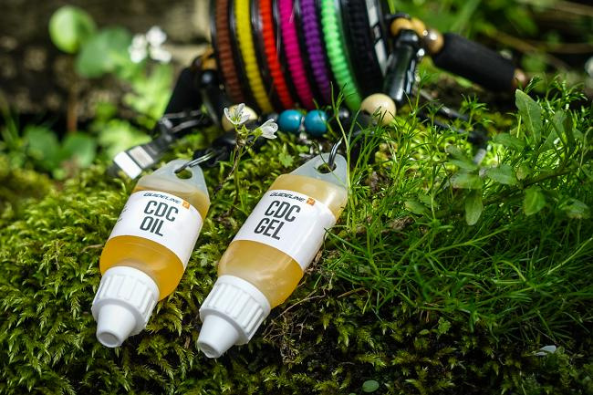 Guideline Cdc Gel (10)