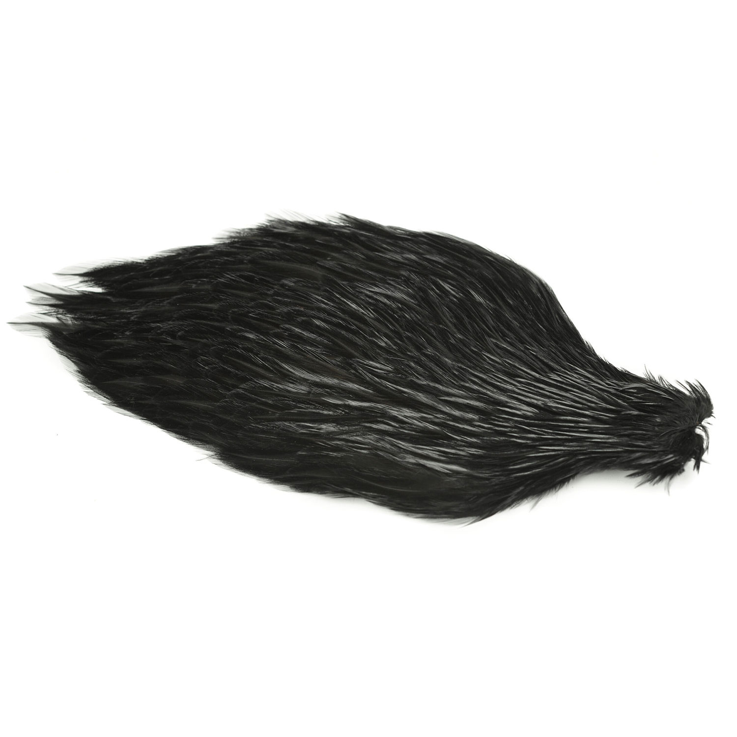 American Streamer Neck, #1 Black